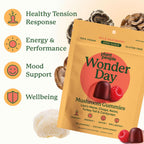 reishi mushroom gummies for relaxation