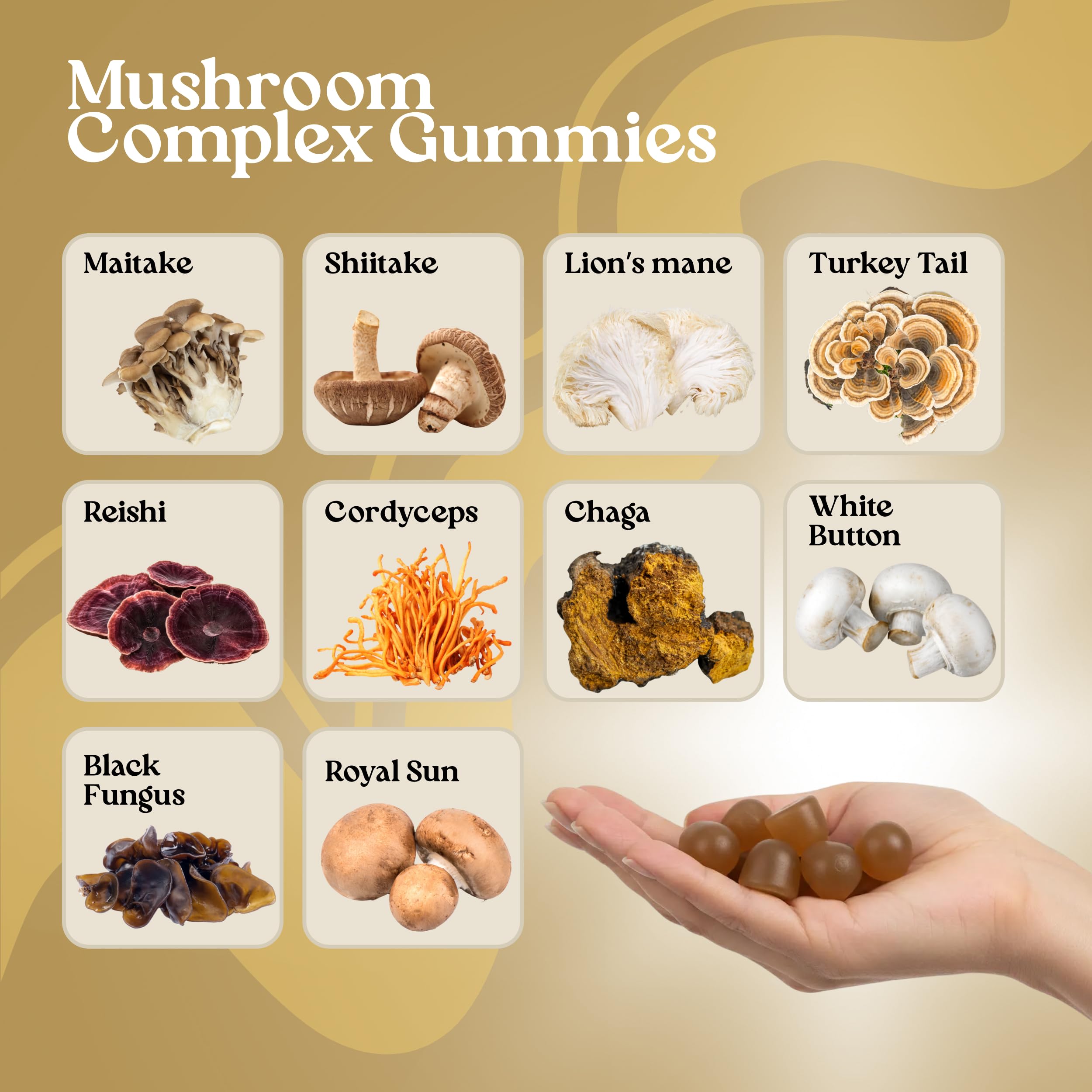 Reishi mushroom gummies for stress relief