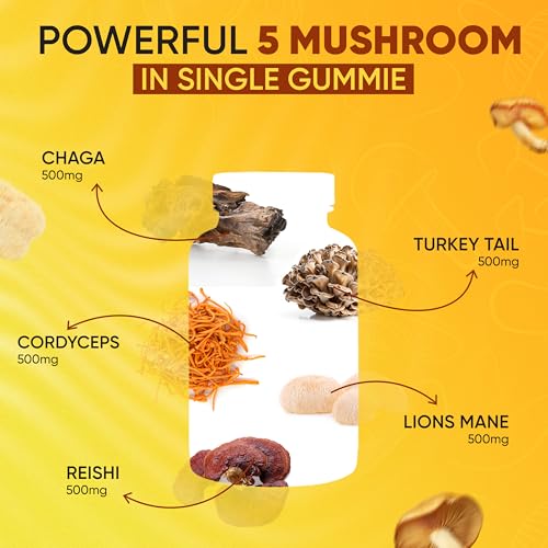 Reishi mushroom gummies for stress relief