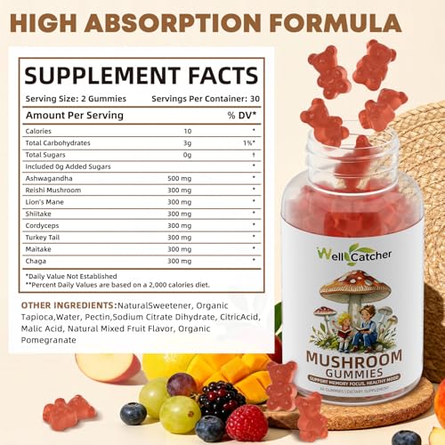 Reishi mushroom gummies for stress relief