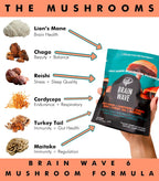 reishi mushroom gummies for stress relief
