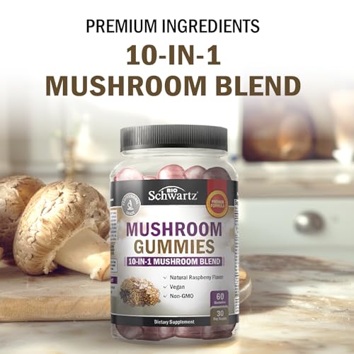 Reishi mushroom gummies for stress relief