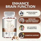 reishi mushroom gummies for stress relief