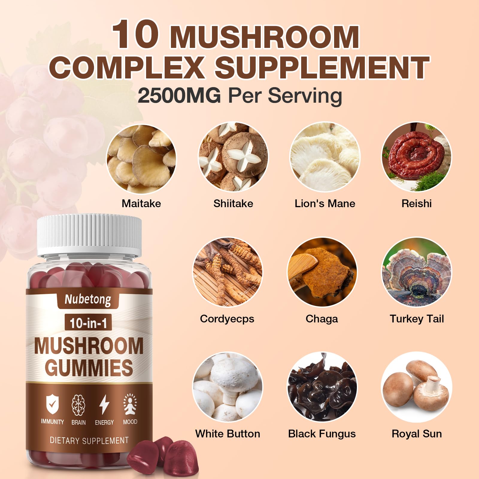 Reishi mushroom gummies for stress relief