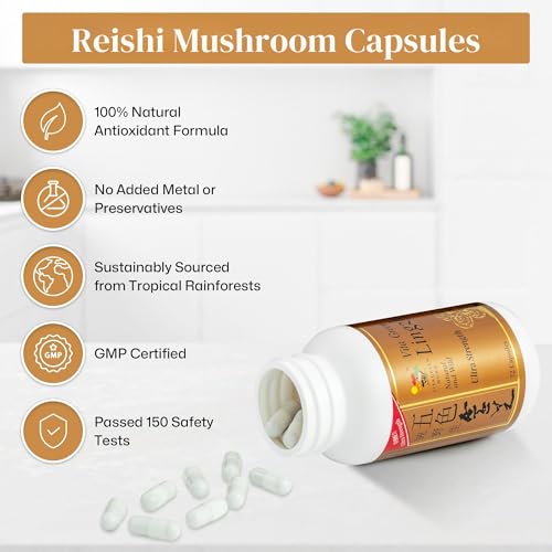 reishi mushroom immune support capsules
