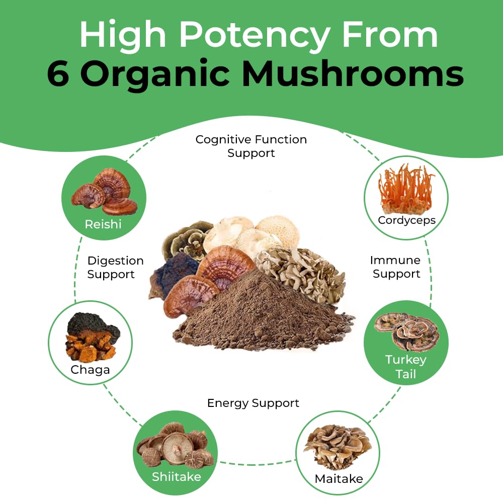 reishi mushroom immune support