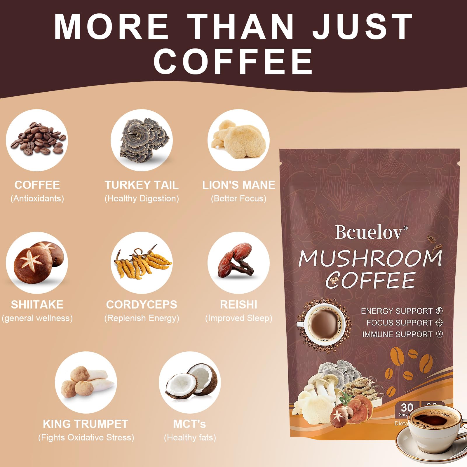reishi mushroom instant drink