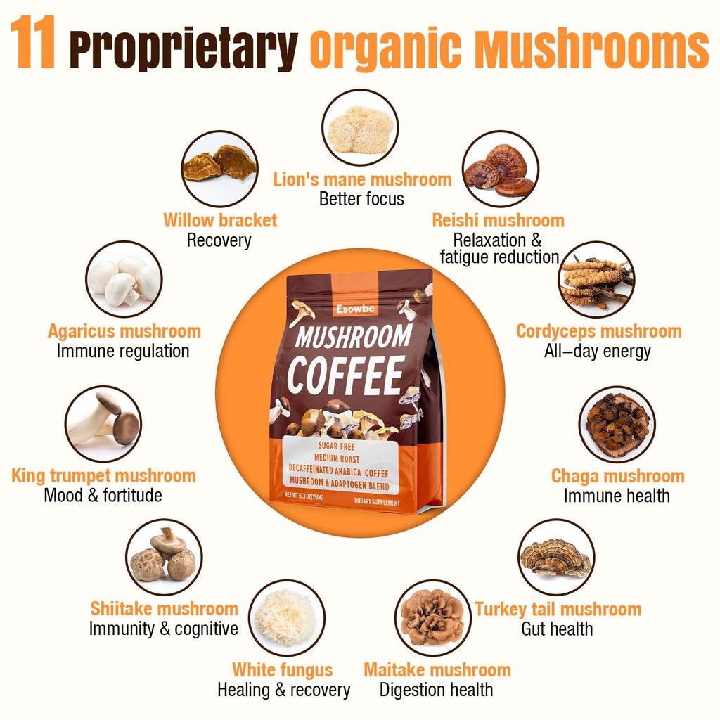 reishi mushroom instant drink