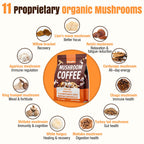 reishi mushroom instant drink