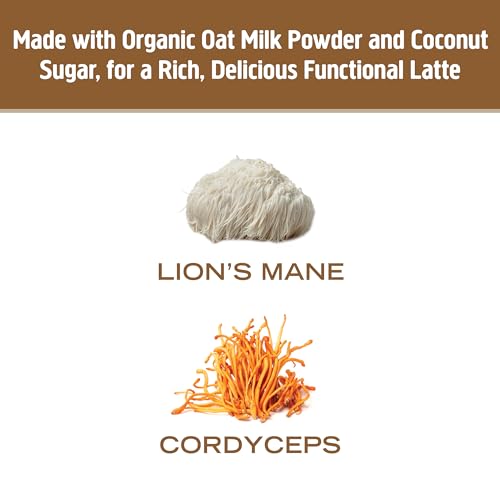 reishi mushroom latte for energy