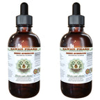 Reishi mushroom liquid extract benefits