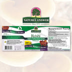 Reishi mushroom mycelia for wellness