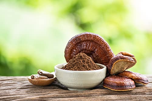 reishi mushroom powder for better sleep