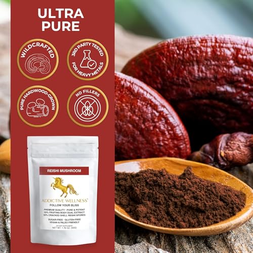reishi mushroom powder for energy boost