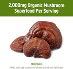 reishi mushroom powder for holistic health