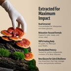 reishi mushroom powder for immune support