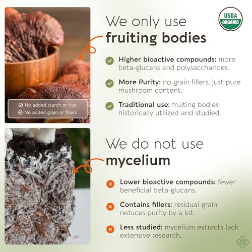 reishi mushroom powder for immune support