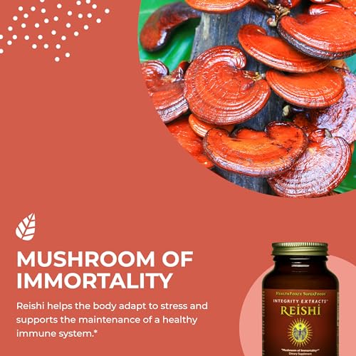 reishi mushroom powder for immunity