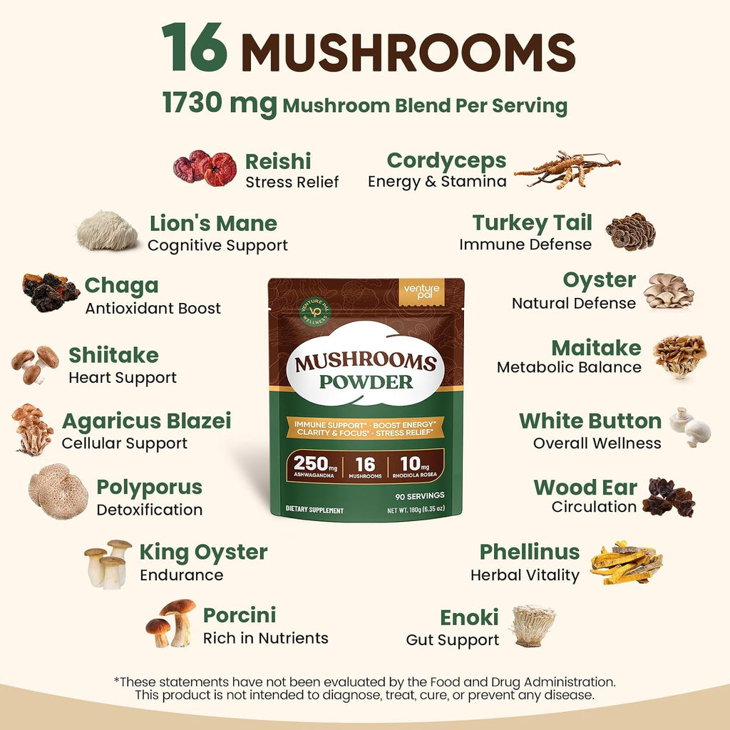 reishi mushroom powder for relaxation