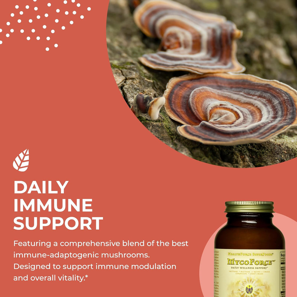 reishi mushroom powder for relaxation