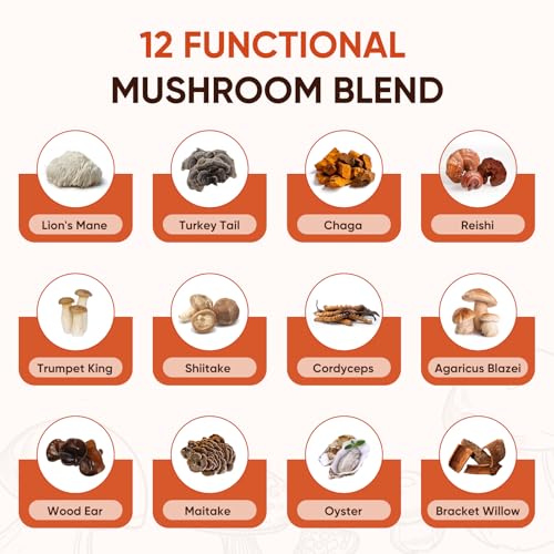 reishi mushroom powder for relaxation