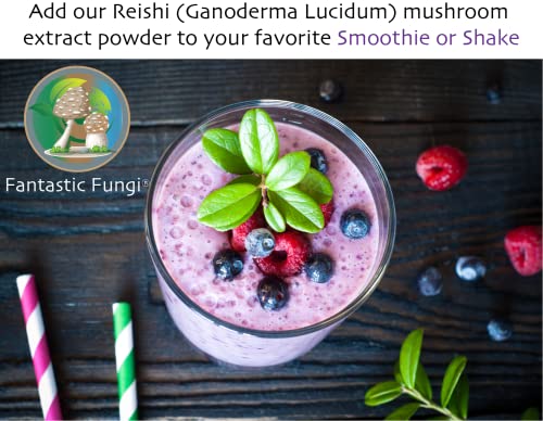 reishi mushroom powder for relaxation