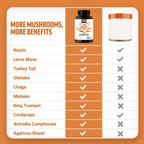 reishi mushroom stress relief capsules