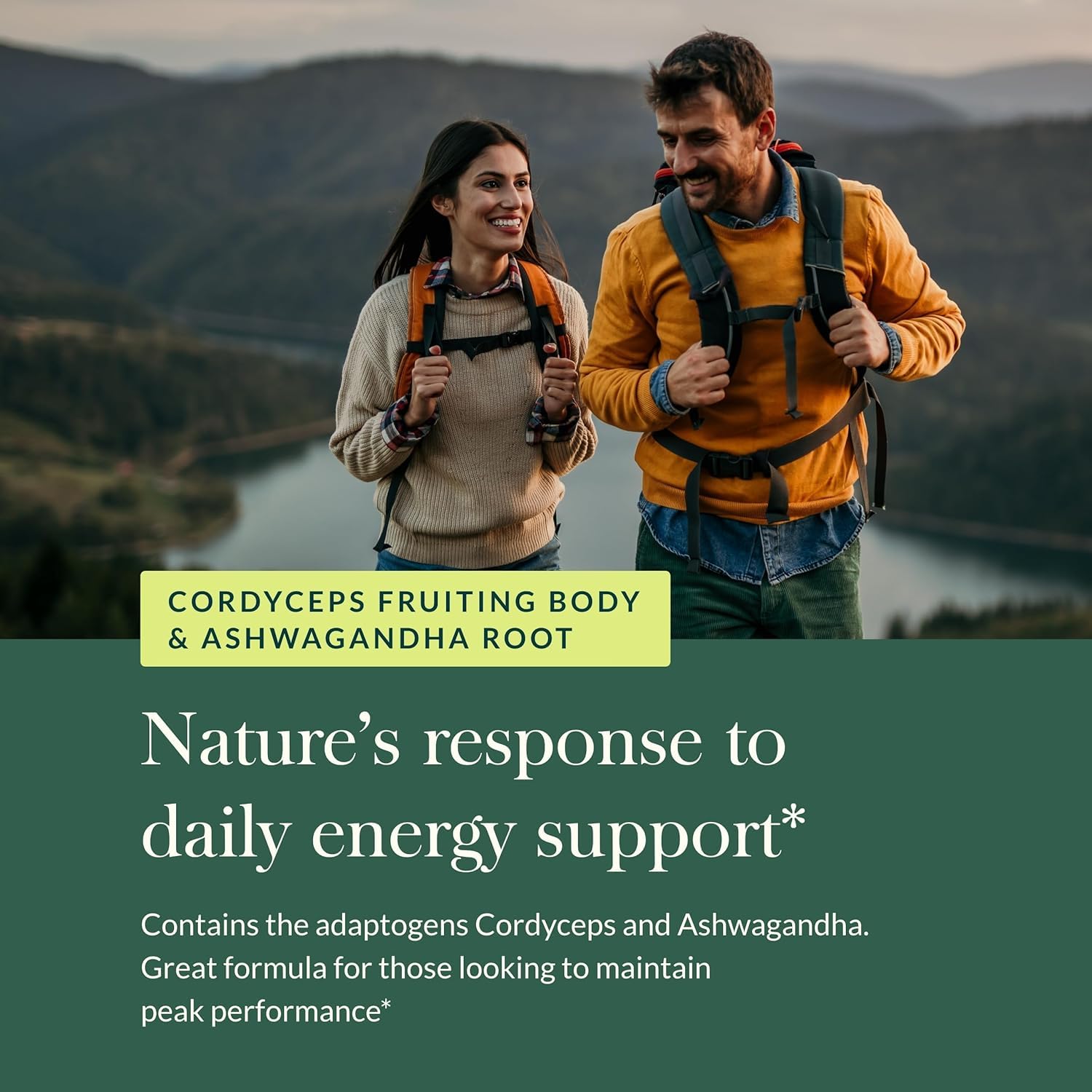 reishi mushroom stress relief capsules