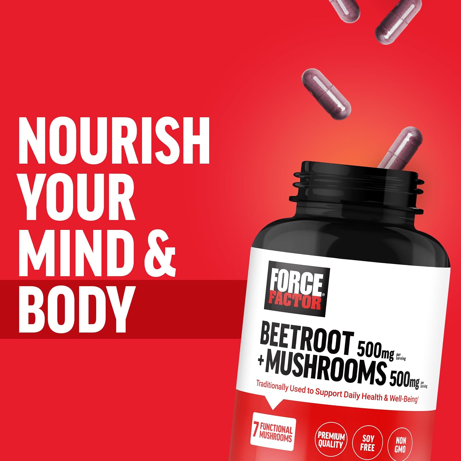 reishi mushroom stress relief capsules
