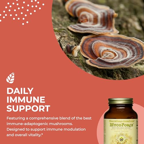 reishi mushroom stress relief capsules