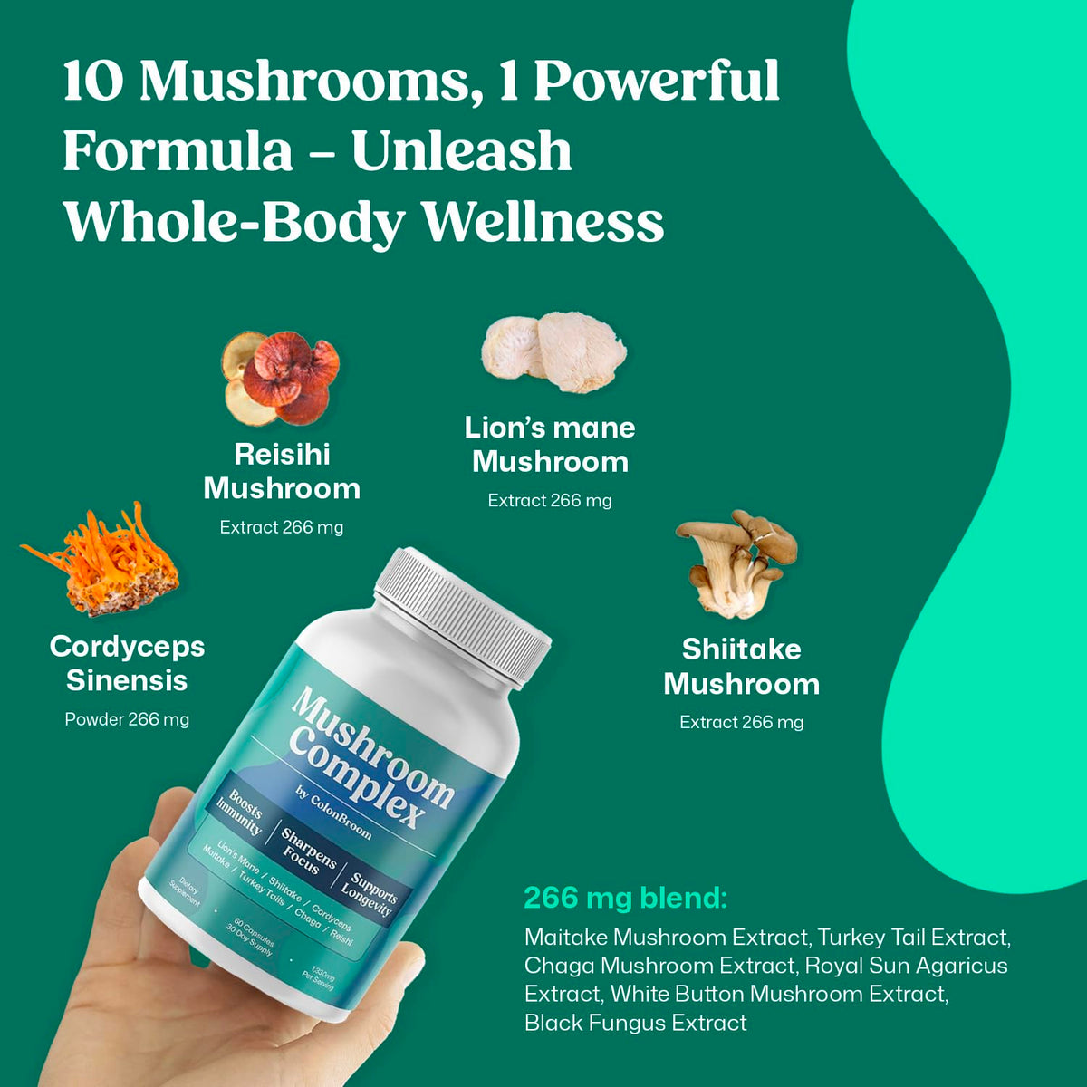 reishi mushroom stress relief capsules