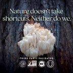 Reishi mushroom stress relief formula