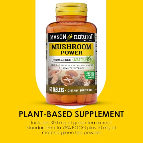 reishi mushroom stress relief formula
