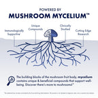 reishi mushroom stress relief supplement
