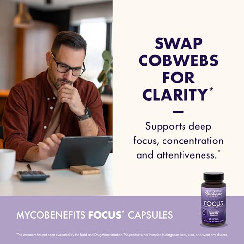 reishi mushroom stress relief supplement