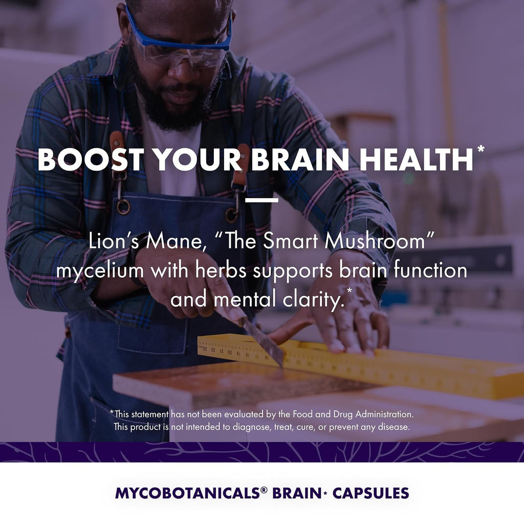 reishi mushroom stress relief supplement