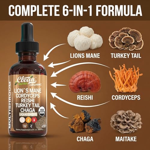 reishi mushroom stress relief supplement