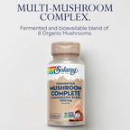 reishi mushroom stress relief
