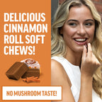 reishi mushroom stress relief