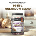 reishi mushroom stress relief