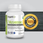 reishi mushroom stress relief