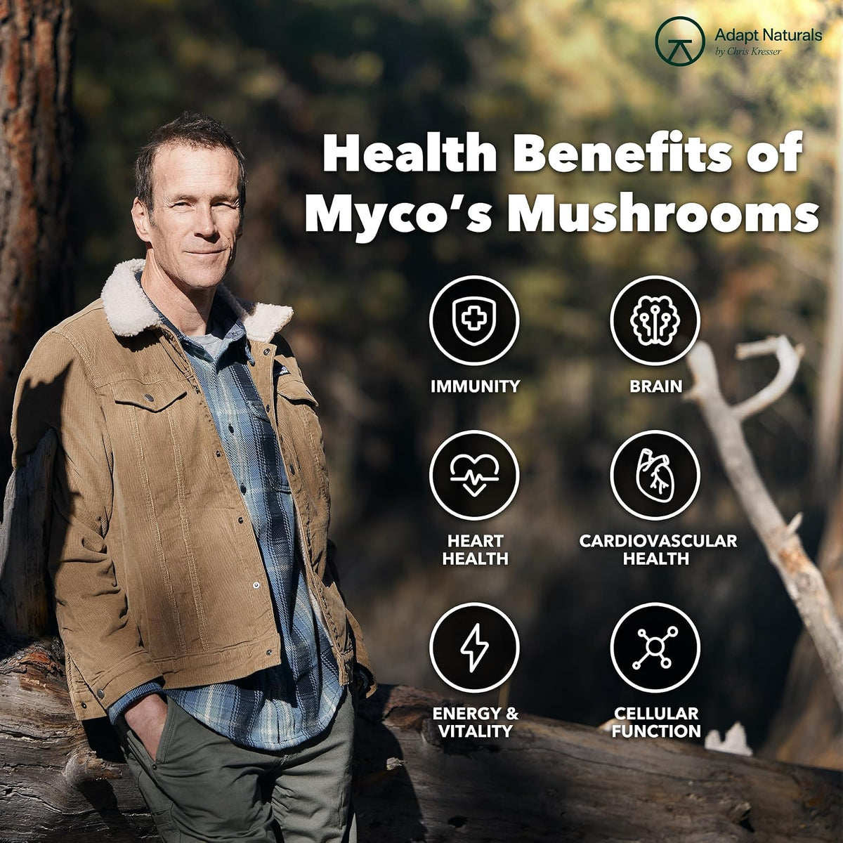 reishi mushroom stress relief