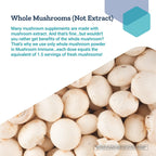 reishi mushroom stress relief