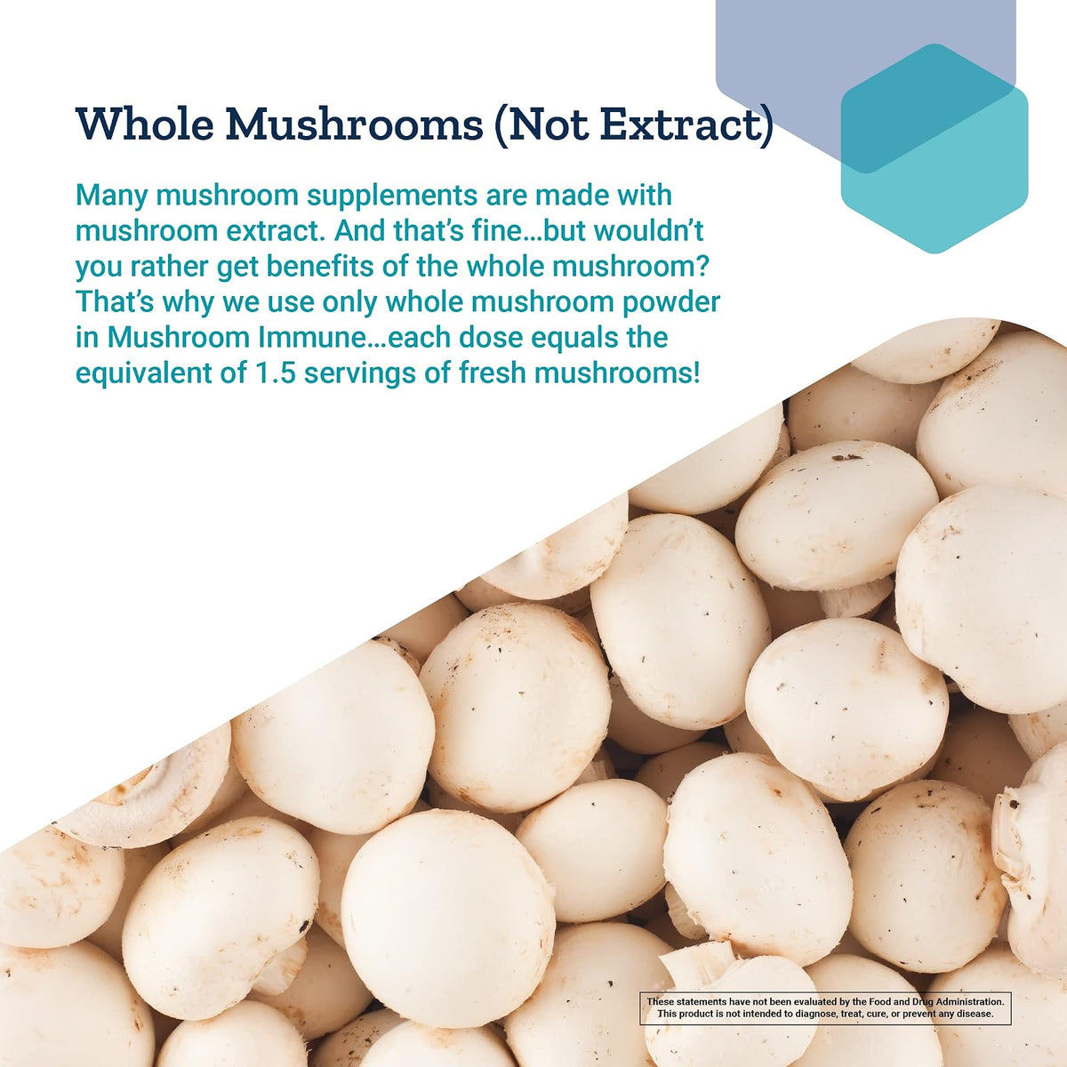 reishi mushroom stress relief
