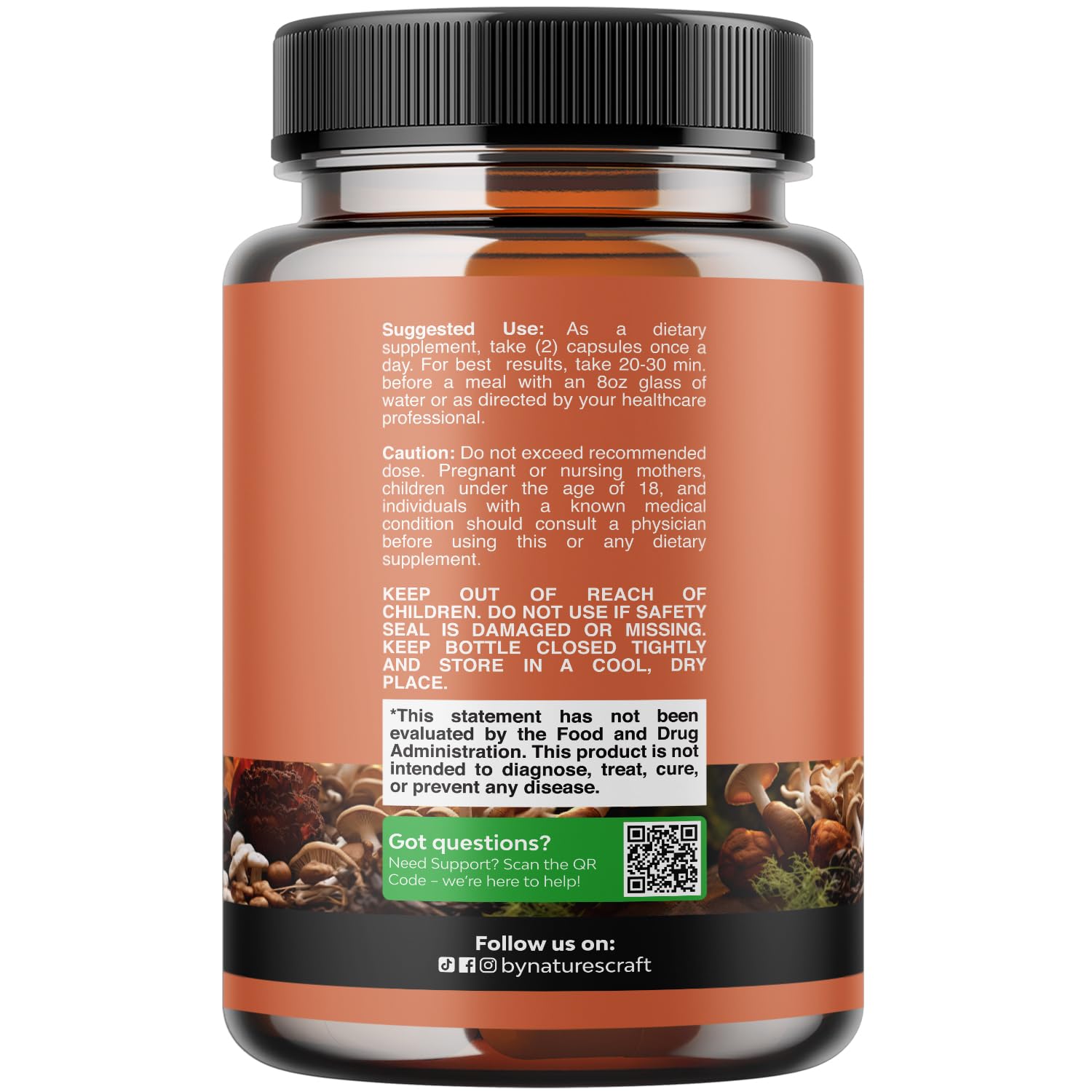 Reishi mushroom supplement benefits