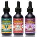 reishi mushroom supplement for athletes