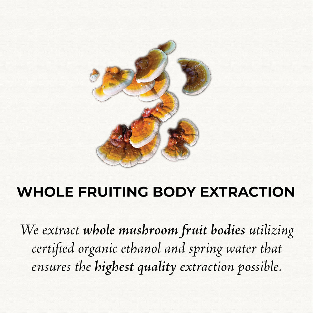 reishi mushroom supplement for calmness