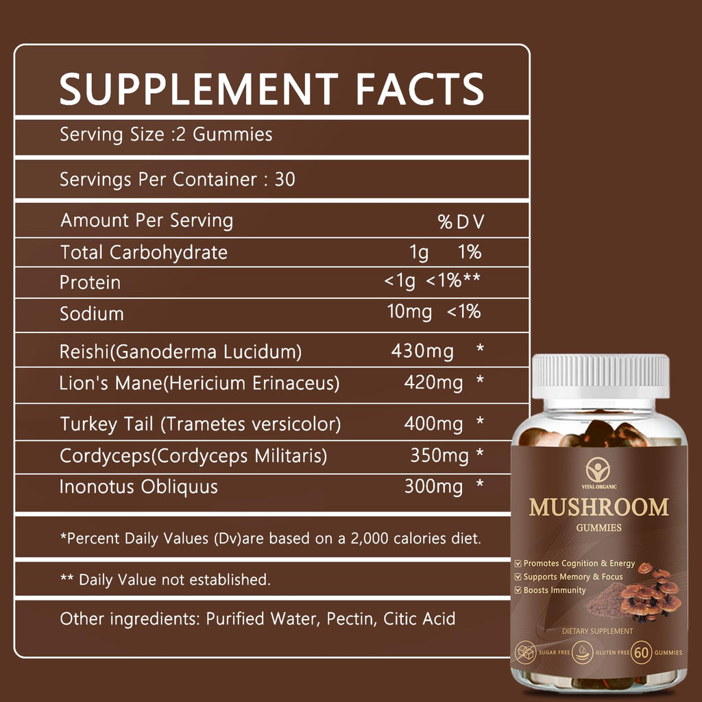 Reishi mushroom supplement for memory