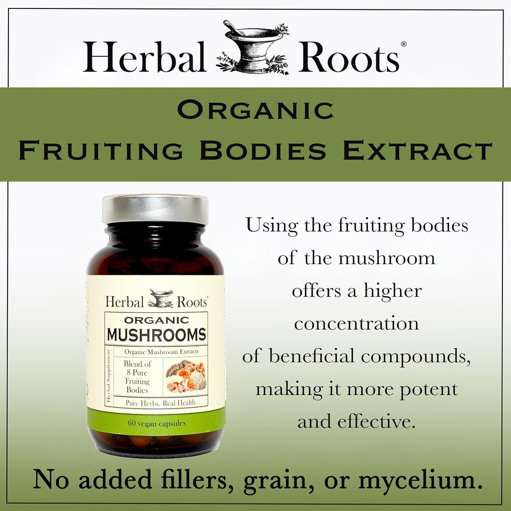 reishi mushroom supplement for relaxation