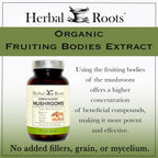 reishi mushroom supplement for relaxation